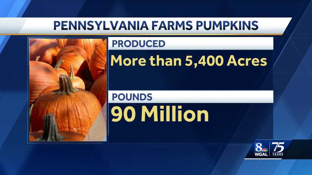 Paint a pumpkin to win Pennsylvania's Preferred pumpkin contest