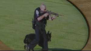 Police K-9 trainer talks about process of using dogs as force