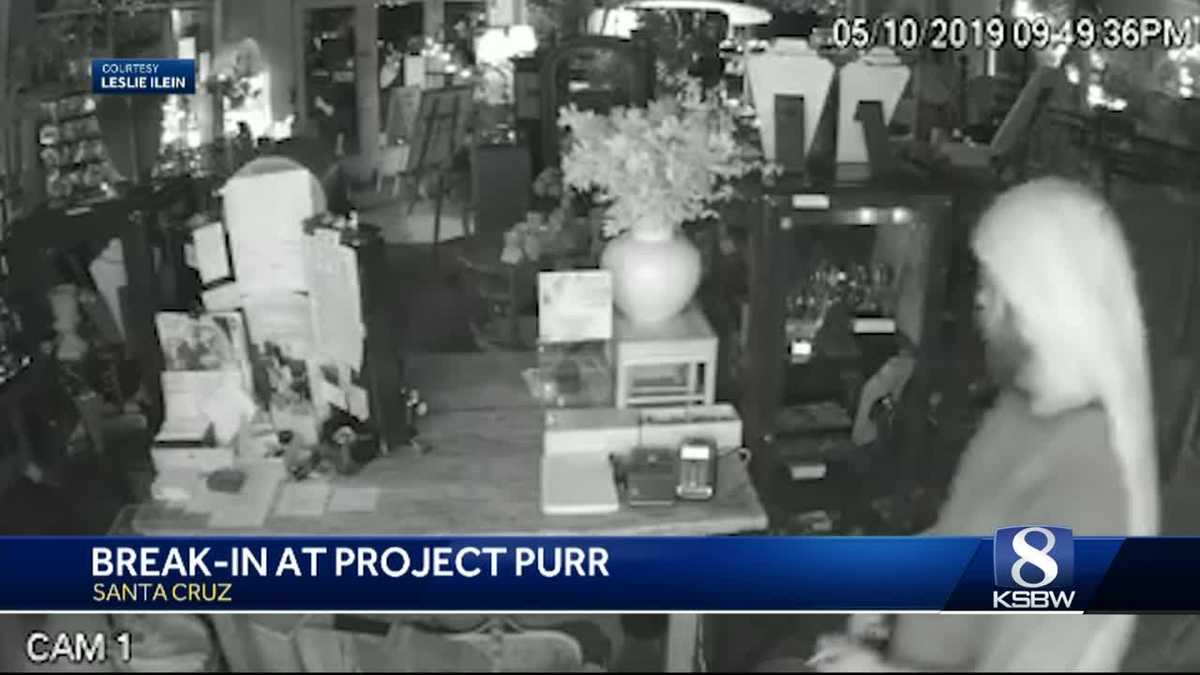 Project Purr Break in