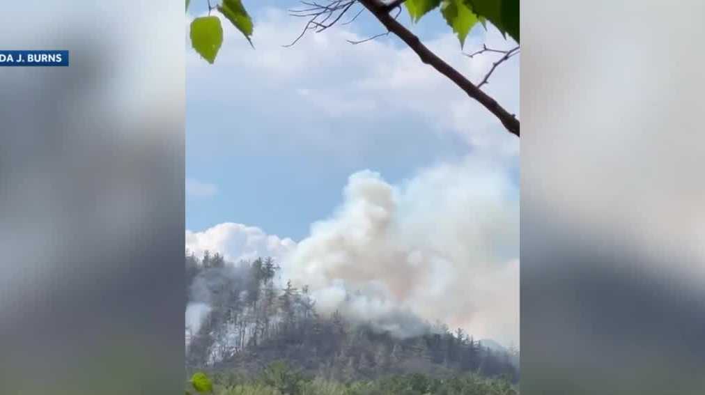 Firefighters from several towns clean up after wildfire in Albany