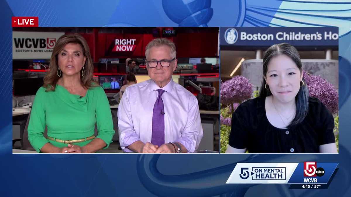Psychologist's take on helping kids cope with slaying of Wellesley siblings