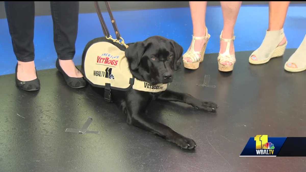 Meet Camden's biggest fan!