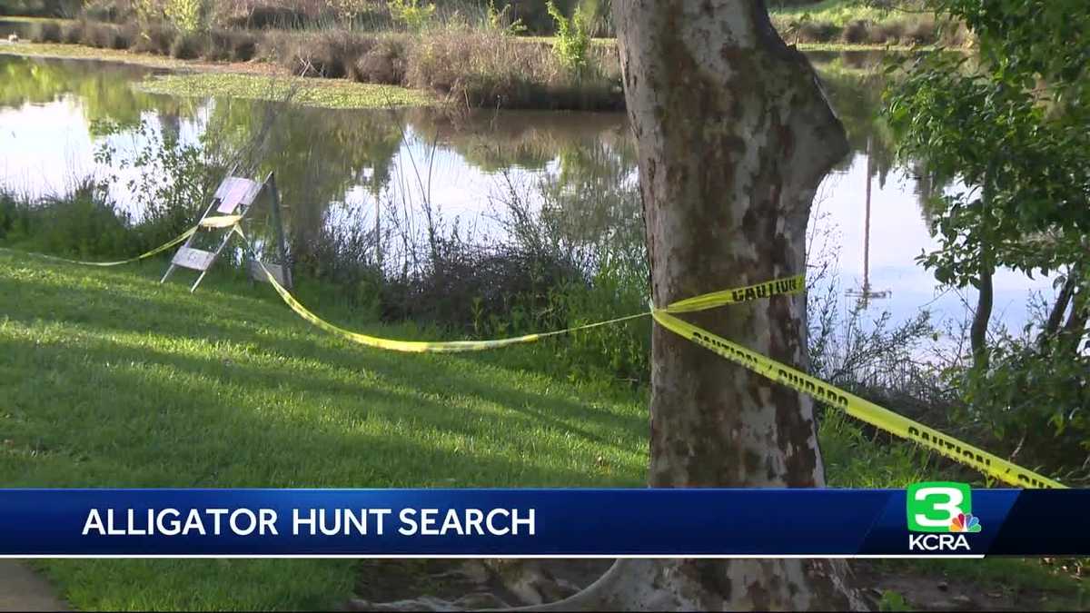 CA officials: Possible alligator sighting in Elk Grove lake deemed a hoax