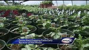 Farms get early start on spring