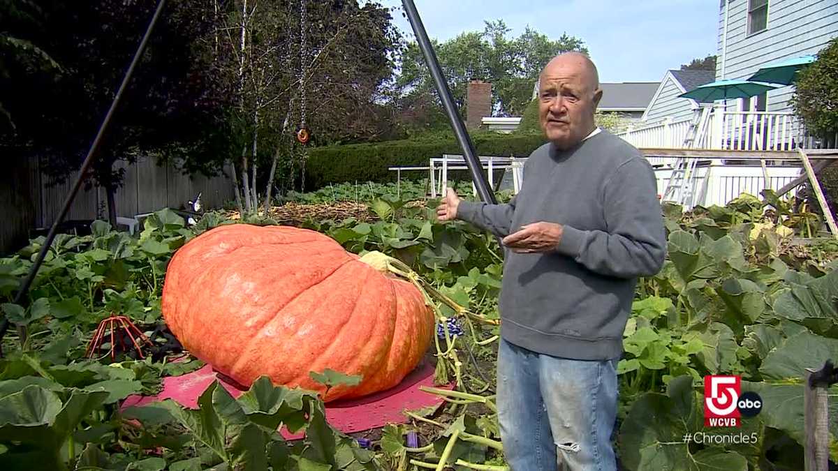 Giant pumpkins tip the scale at the Topsfield Fair