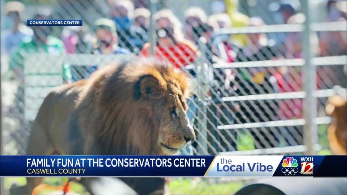 Conservators Center gets ready to debut new tiger cub