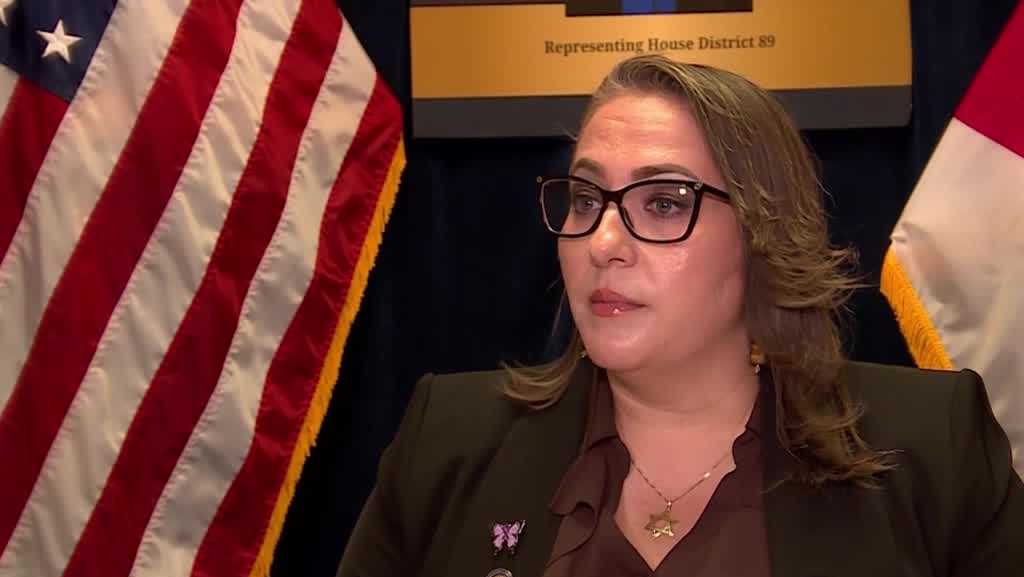 State Rep. Debra Tendrich files a Domestic violence reform bill