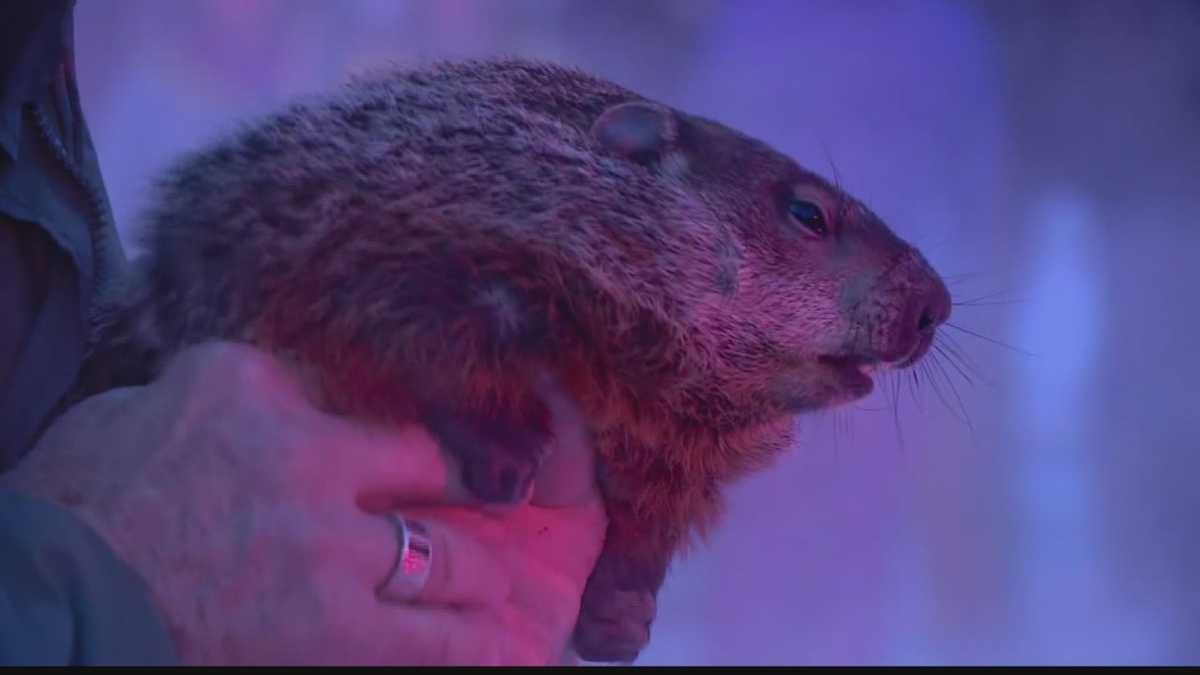 Groundhog Day brings surprises