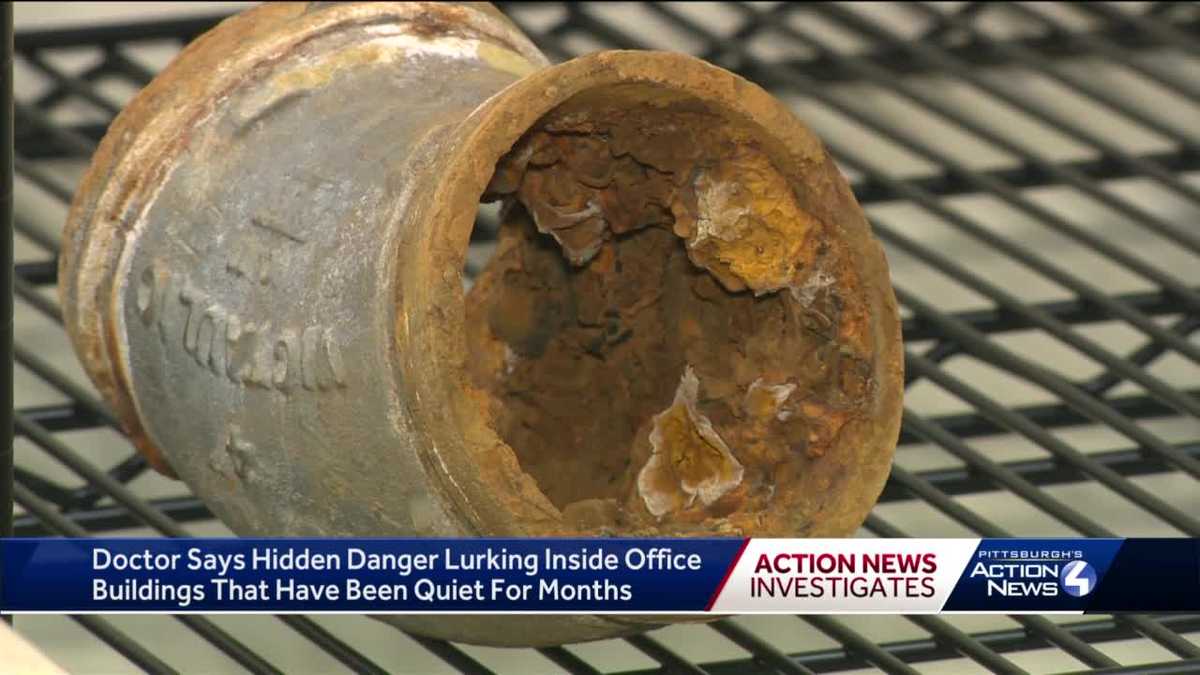 Expert: Empty buildings are breeding grounds for bacteria that causes ...