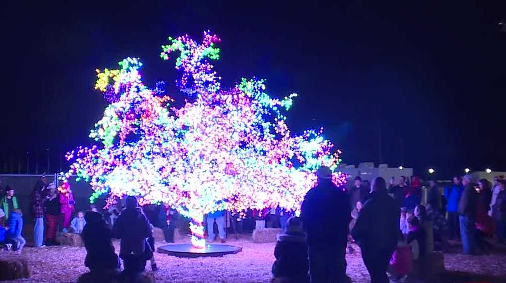 Magic Tree lighting ceremony held in Lee's Summit