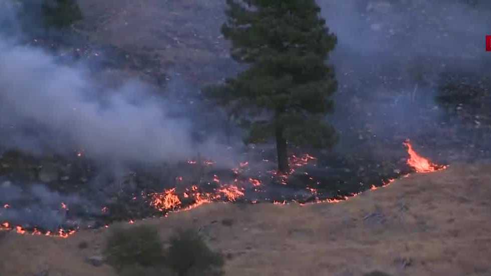 Gold Ranch Fire may have been started by suspected DUI driver