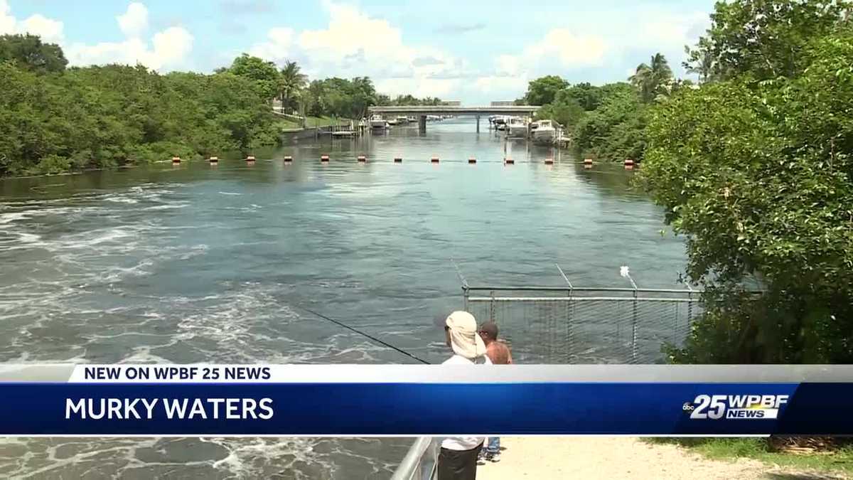Murky waters in Palm Beach County