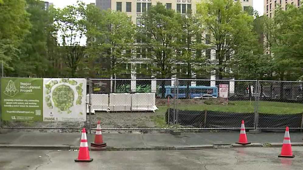 Construction begins at 'micro-forest' in downtown Louisville