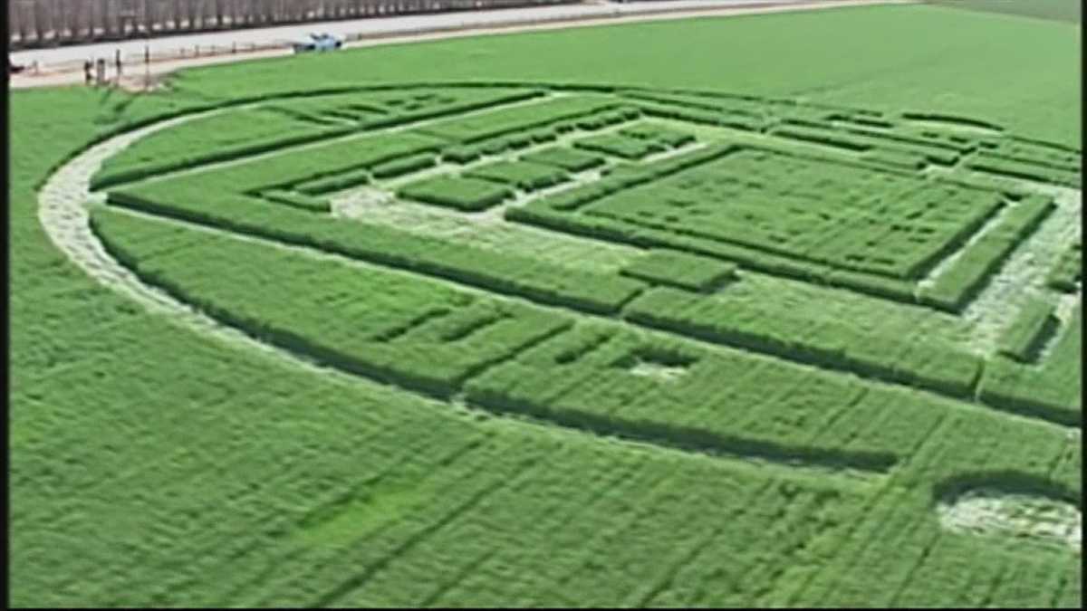 Locals wonder who -- or what -- created Chualar crop circles