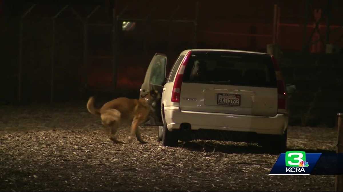 Sacramento police K9 can now train at night
