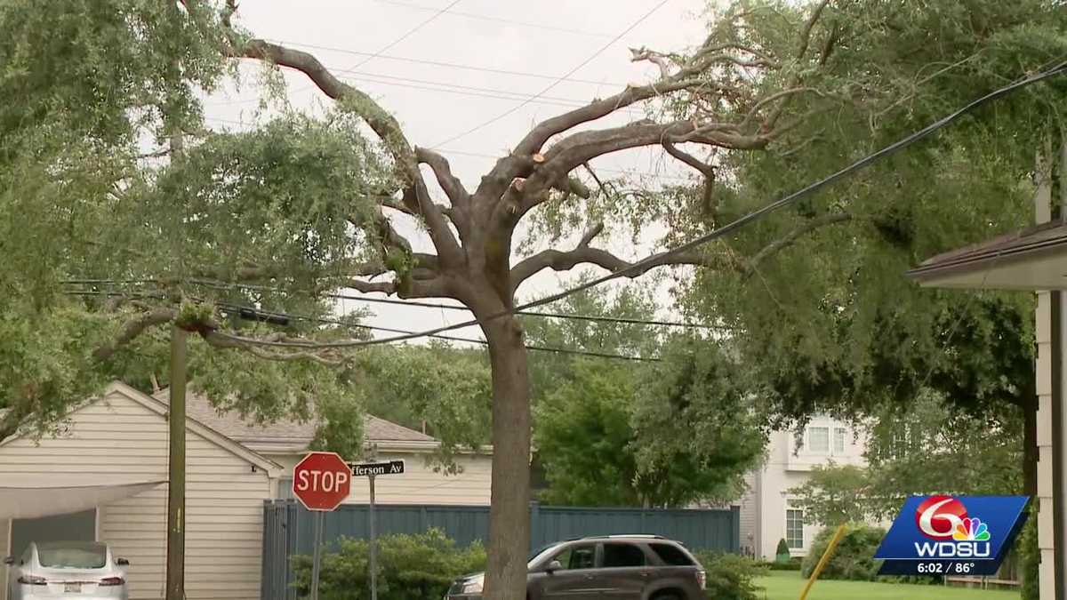 Old Metairie residents worry about tree trimming near power lines