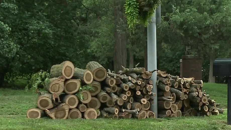 Curbside tree debris cleanup extended for one more week