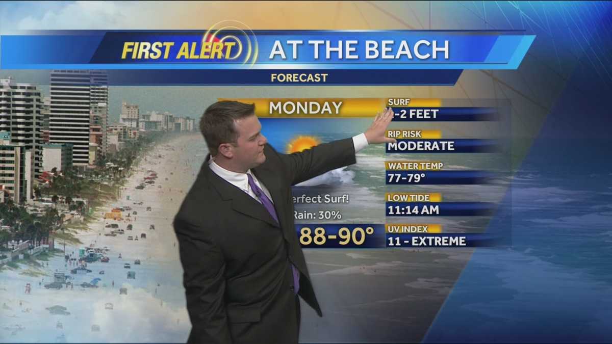 Tracking your back to work forecast