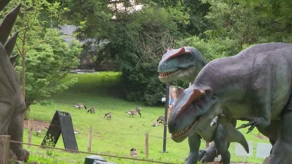Louisville Zoo introduced new dinosaur attraction