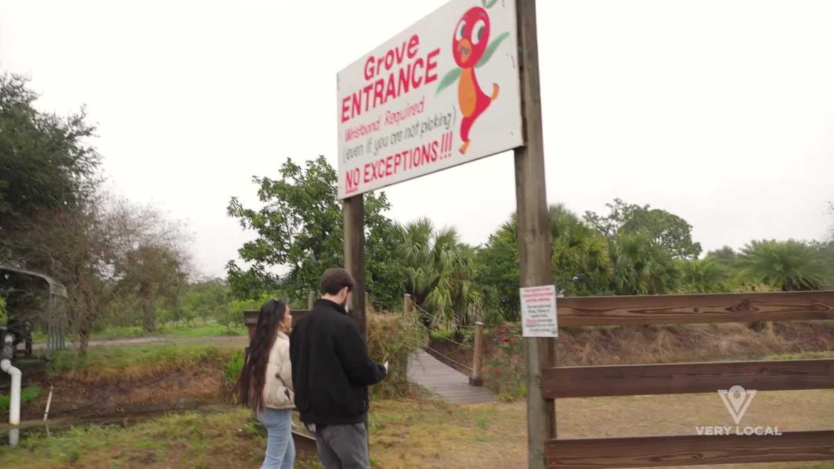 TV show highlights citrus grove in Central Florida