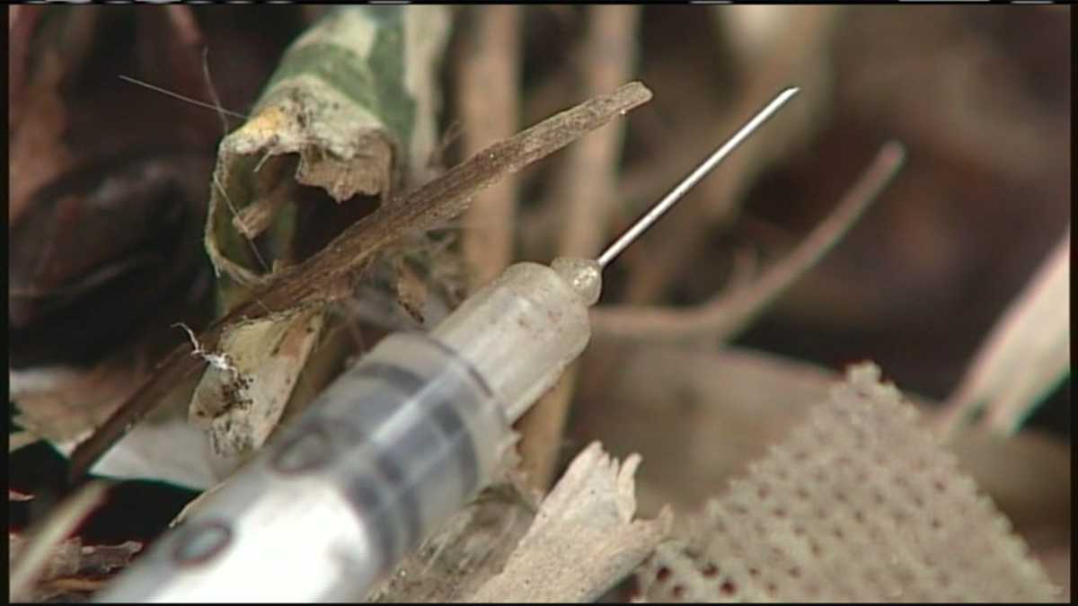 More needles found in Portland park