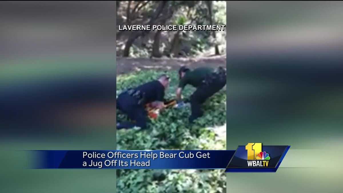 Video: Officers help free bear cub stuck in jug