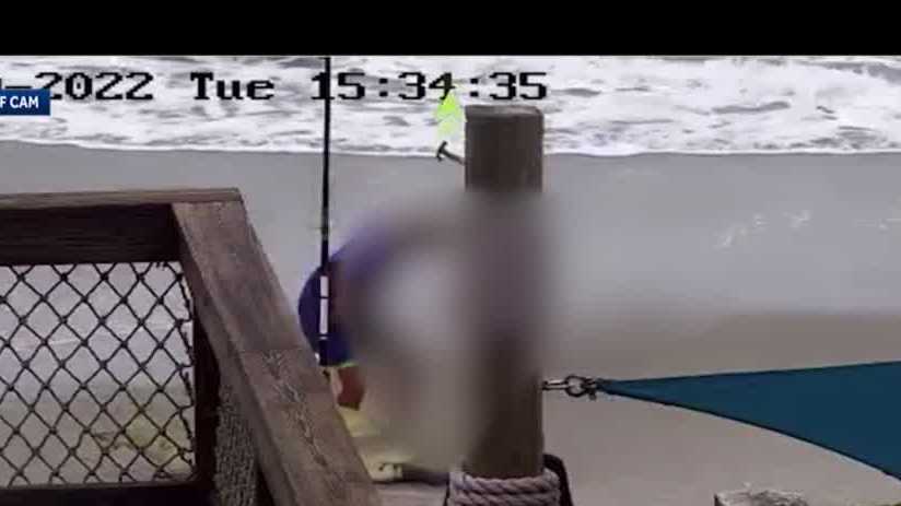 Man seen beating shark on video could face charges FWC recommends