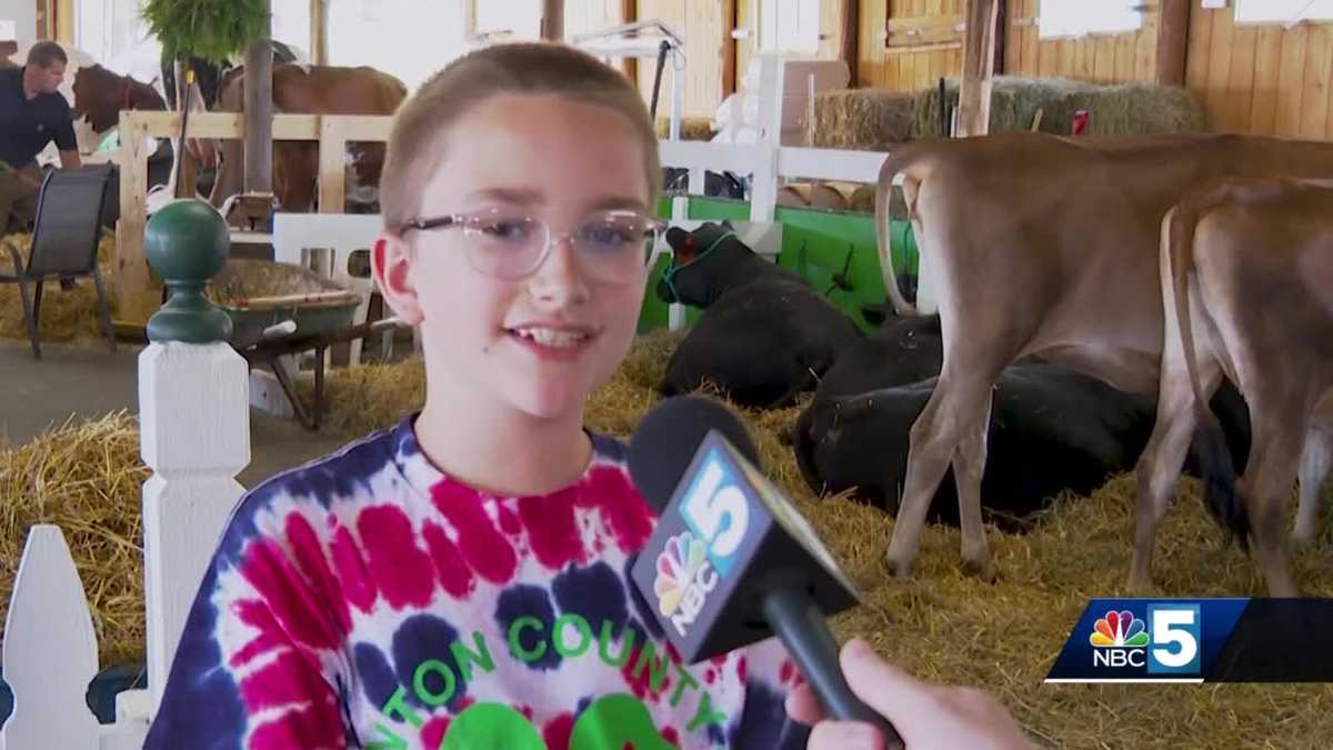 Clinton County Fair hosts 4-H cattle show