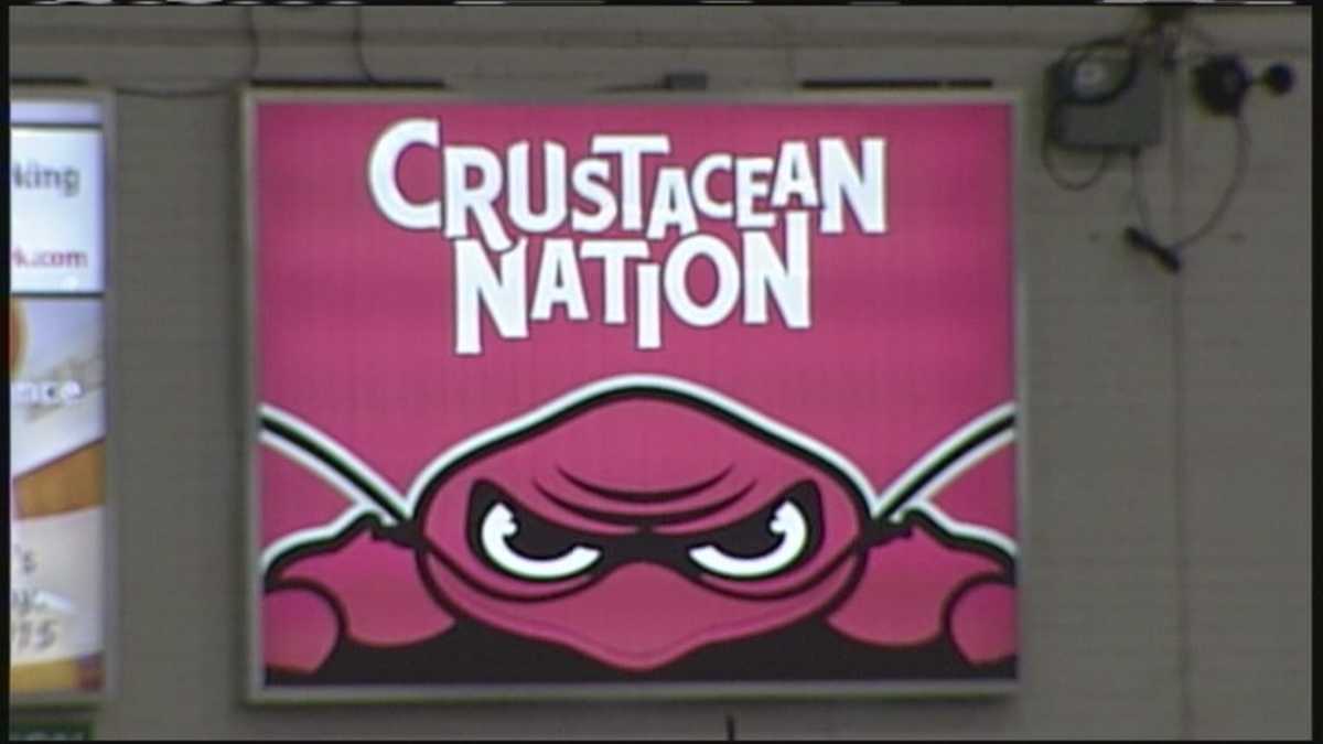 Red Claws unveil upgrades at Portland Expo