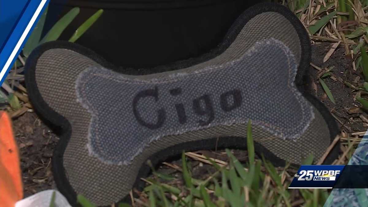 Sheriff previews memorial for Cigo