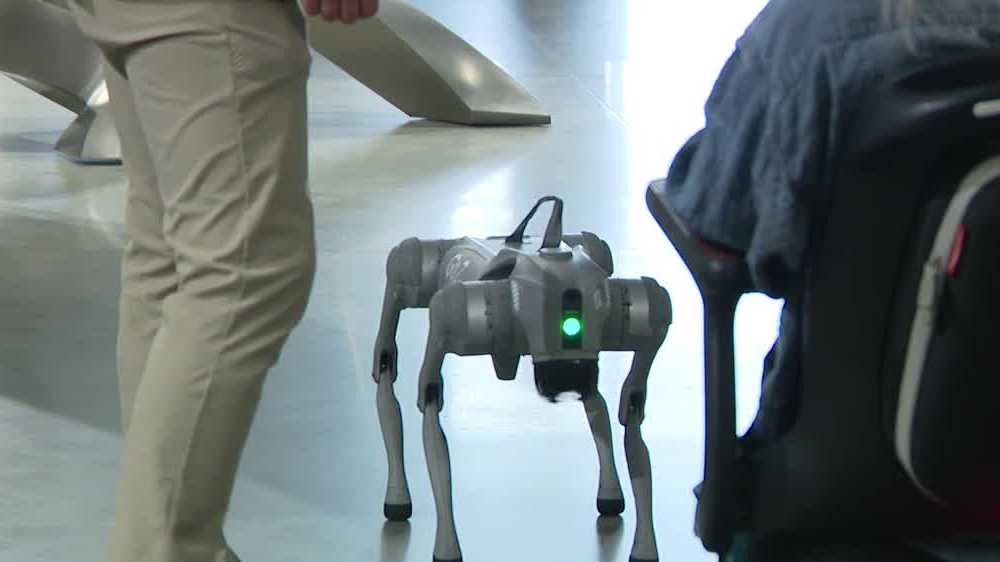 Omaha leaders push AI at UNO conference