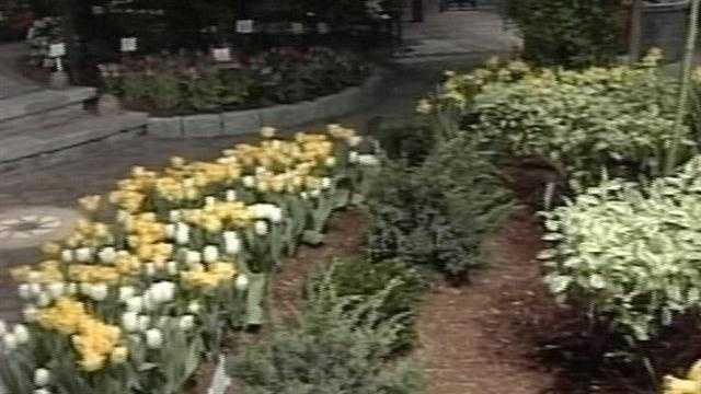 Portland flower show wraps up