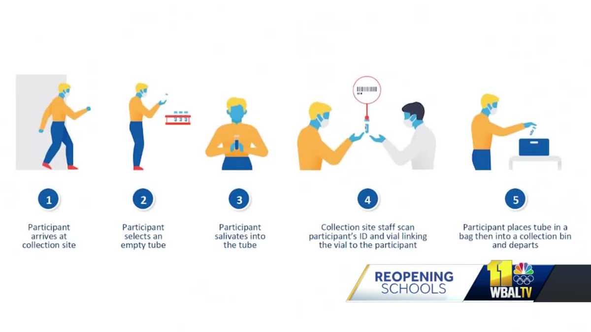 City schools adds weekly no-symptom COVID-19 testing for students, staff