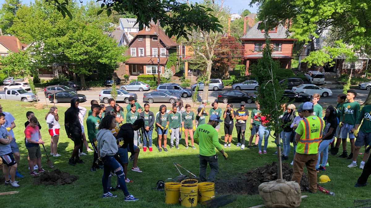 11 trees planted at Allderdice High School for Tree of Life victims