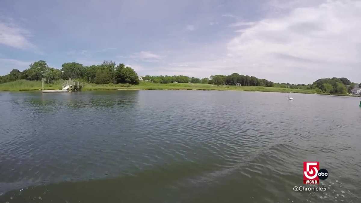 Exploring coastal Cotuit, Mass.