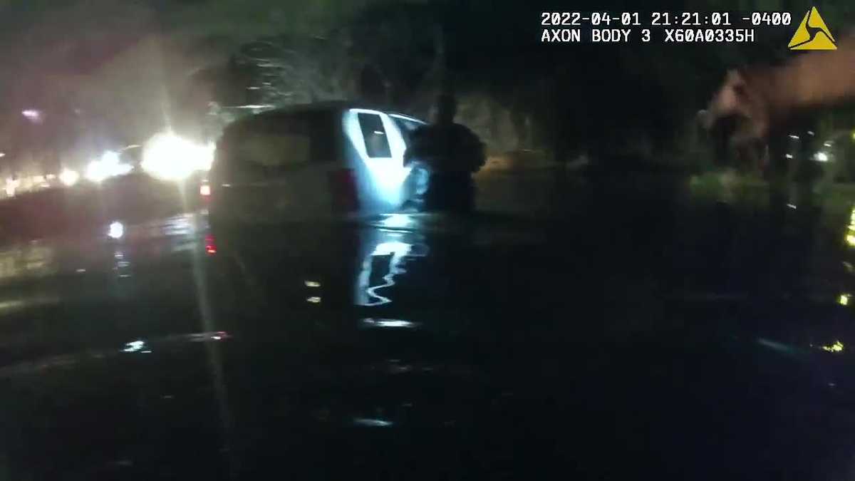 Video shows police officers rescuing 4 from car in pond