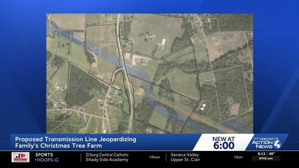 Smithfield Christmas tree farm face threat from transmission line