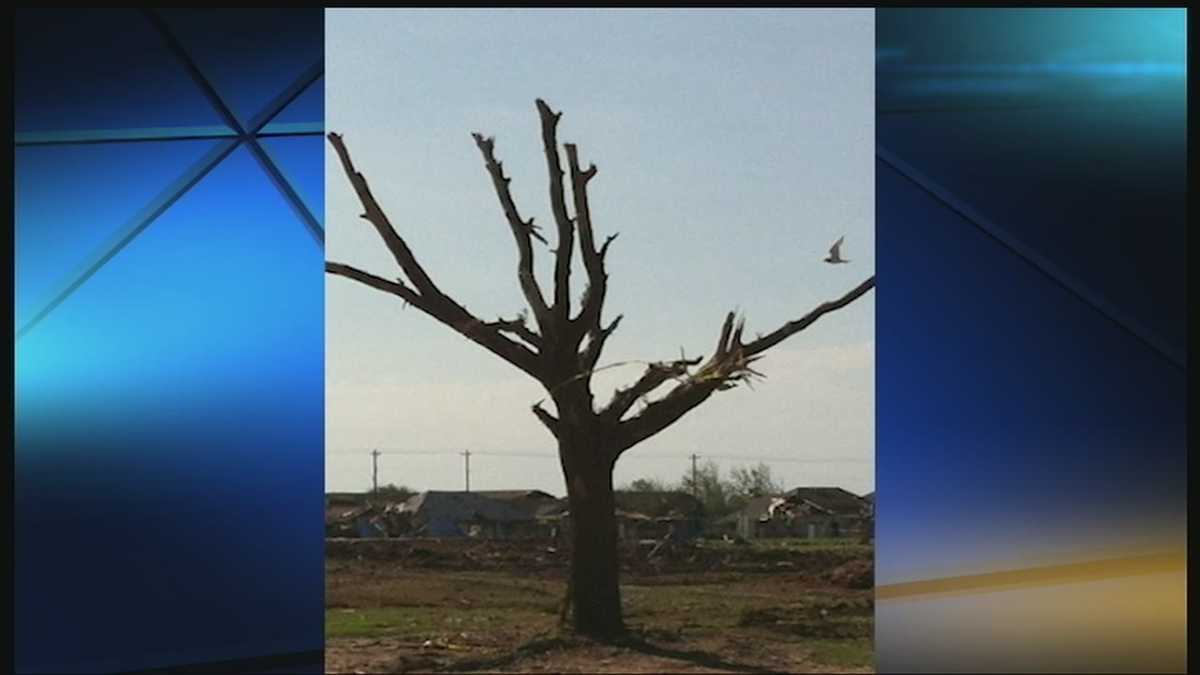 Moore tree serves as sign of strength, recovery