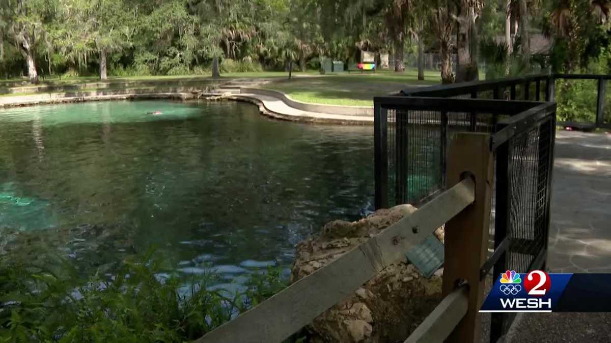 Ocala National Forest, area springs could become national park