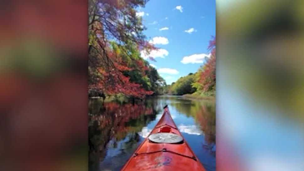 Wake Up Call from Mashpee River