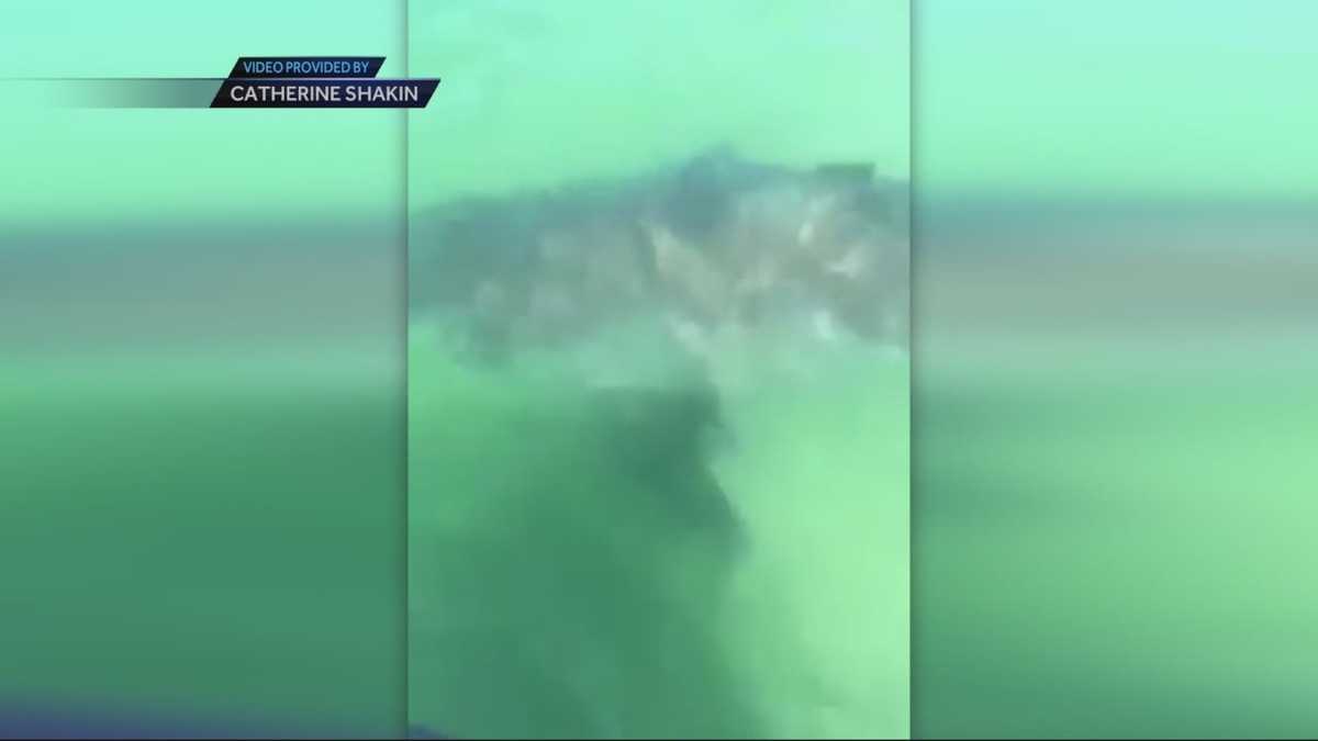Shark spotted in waters off Massachusetts