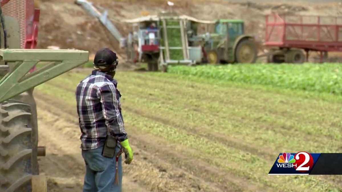 FL Farmworkers Association asks OSHA to protect workers from deadly temps