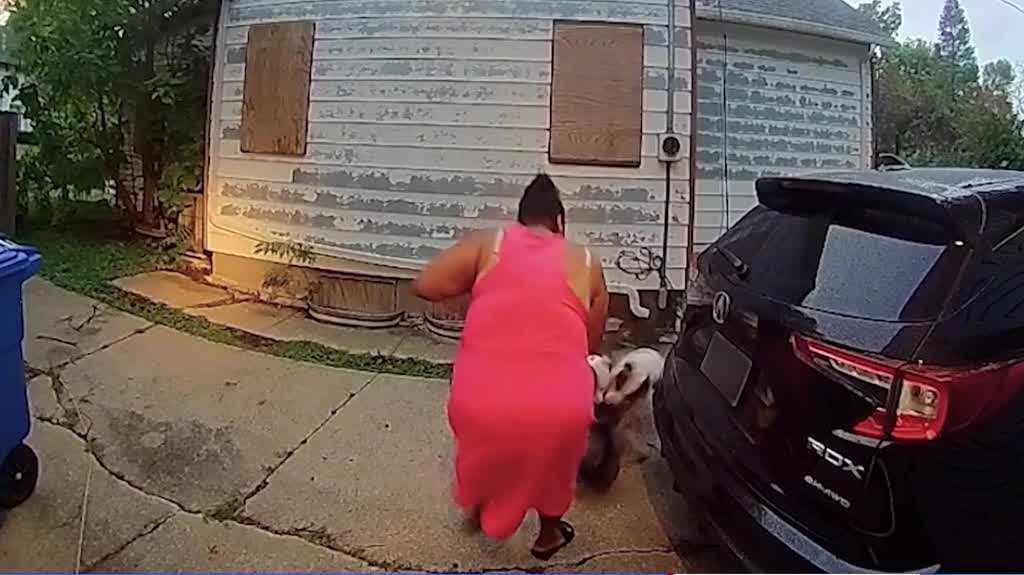 Pit bulls caught on camera attacking another dog turned in