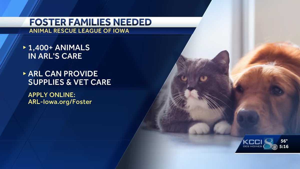 Animal Rescue League of Iowa needs foster families