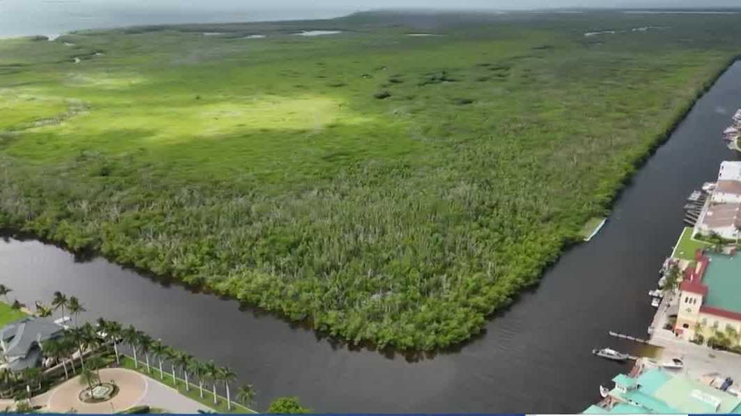 'Unblock the Lock': Cape Coral city leaders celebrating Chiquita Lock ...