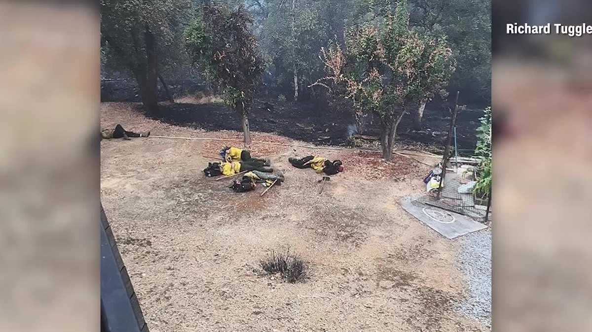 Viral picture: Firefighters take brief rest on ground while battling ...