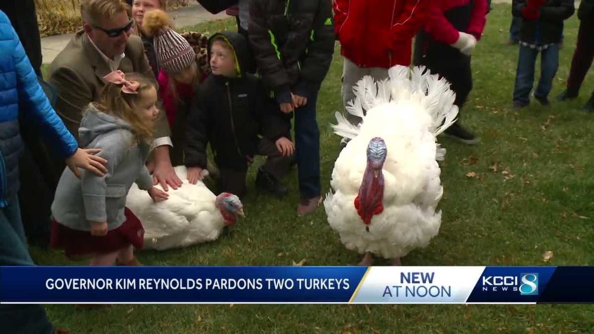 These Iowa turkeys will not end up on your holiday table