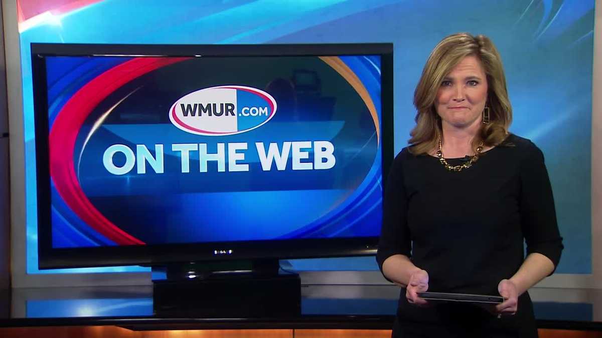 Morning Webcast February 10th