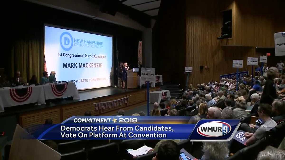 Democrats back marijuana legalization at state convention