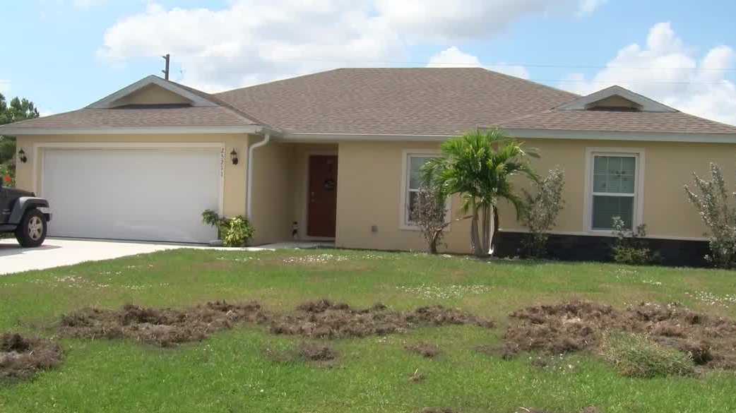 Hog madness in Punta Gorda: How residents can deal with pesky pigs